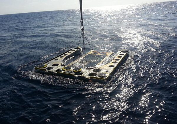 Decommissioning Services | Machines - Mactech Europe